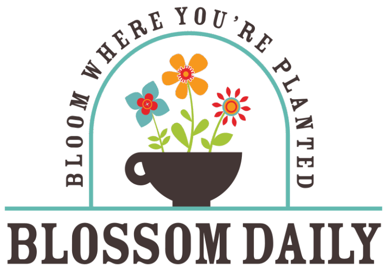 A Unique Experience in Georgetown Washington DC - Blossom Daily